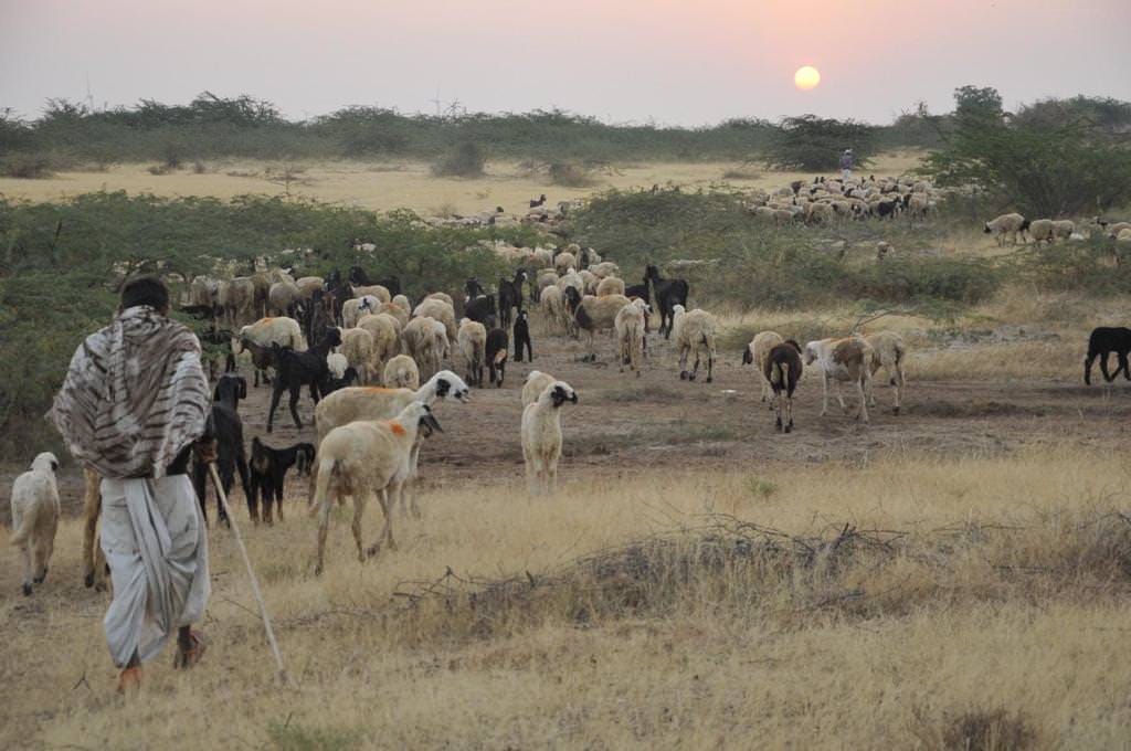 Lezioni antropologia del nomadismo • Elena Dak